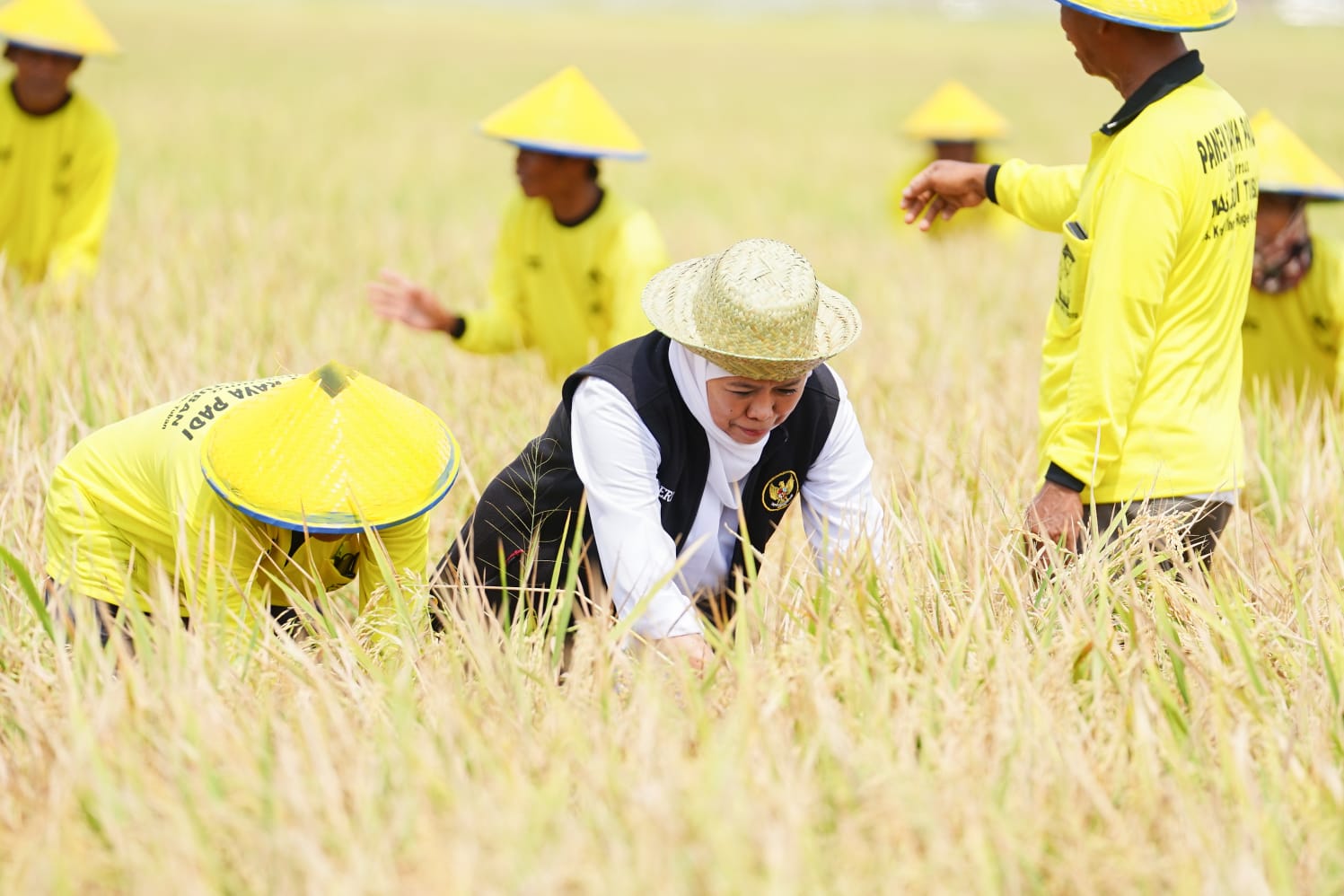 Gubernur Khofifah : Panen Raya Padi di Tuban, Jatim Mampu Jadi Produsen Padi Tertinggi Nasional ...